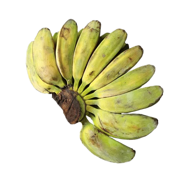 Banana (Saging Saba) – Northern Harvest