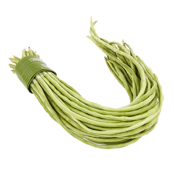 Sitaw – Northern Harvest